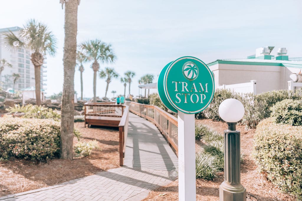 Hounding Around @ Edgewater Resort – PCB’s BEST Family Resort ...